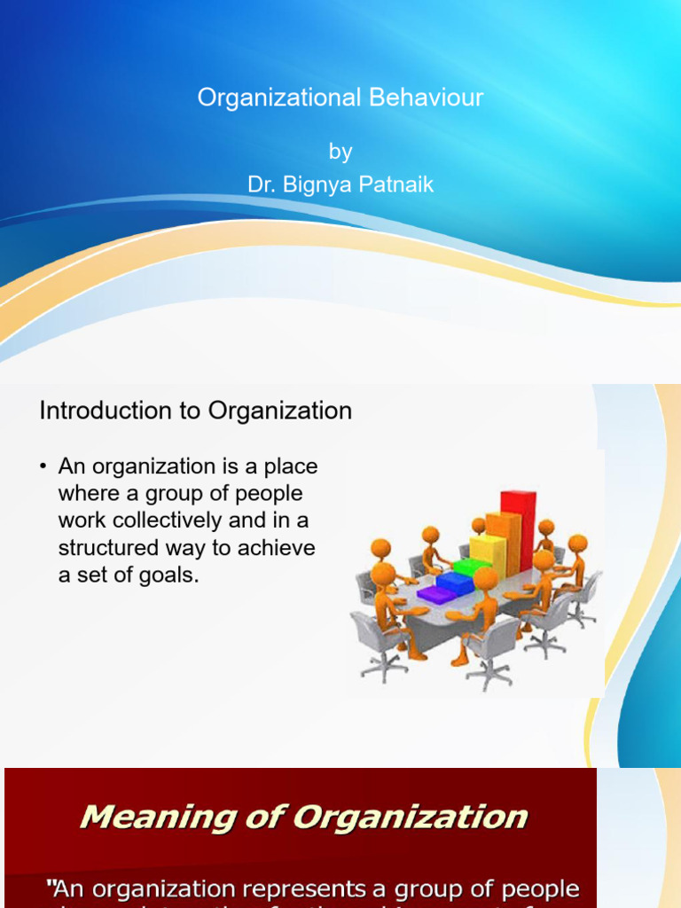 Organisational Behaviour | PDF | Bureaucracy | Max Weber