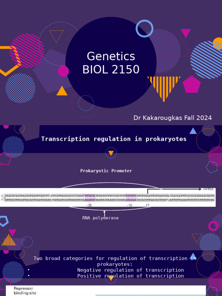 Prokaryotic Transcription Regulation Overview | PDF | Operon | Repressor