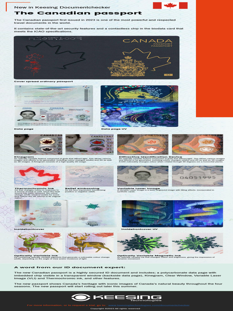 Infographic Canadian Passport | PDF | Passport | Light