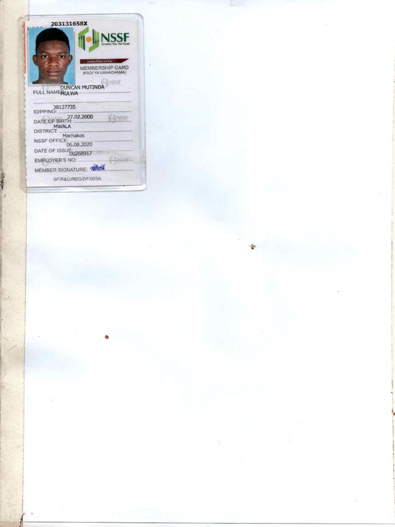 NSSF | PDF