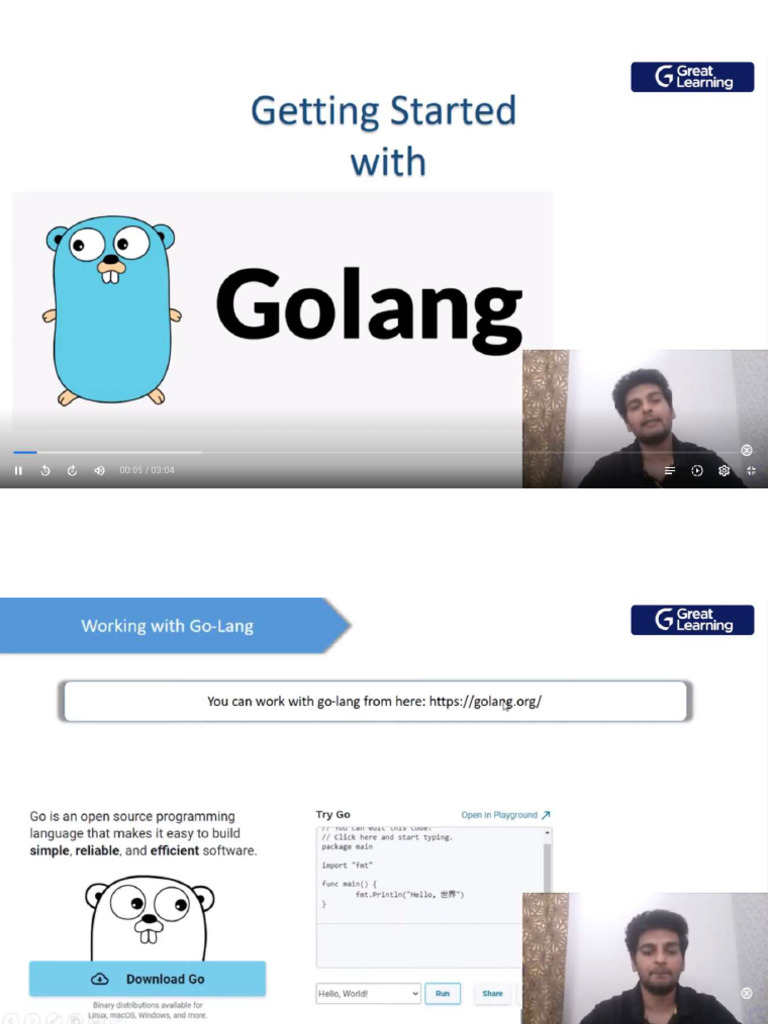 Golang Programming | PDF