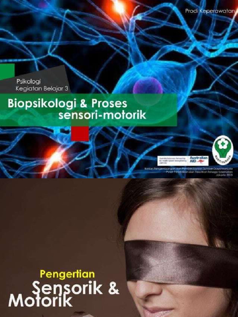 Konsep Proses Sensorik Dan Motorik | PDF