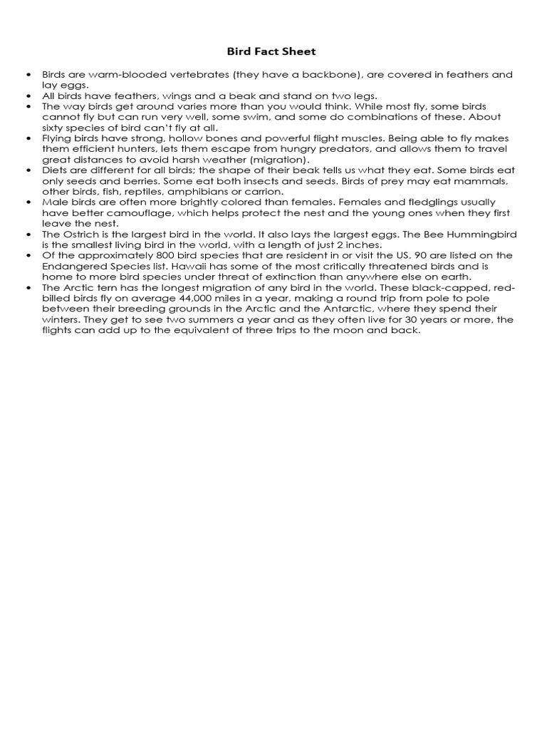 Comprehensive Bird Facts Overview | PDF