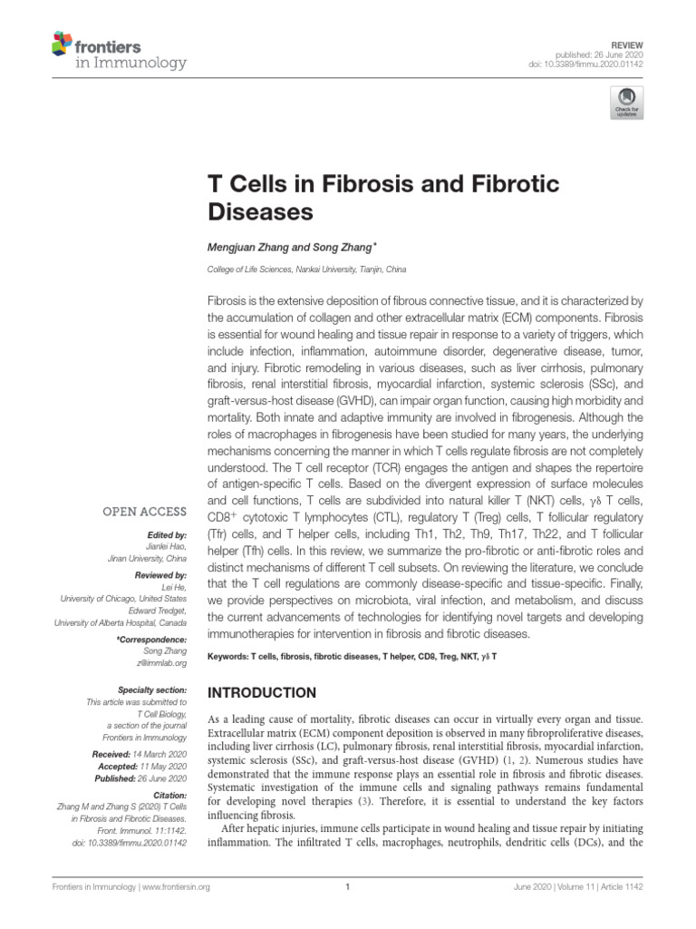 T Cells in Fibrosis and Fibrotic Diseases | PDF | T Helper Cell | T Cell