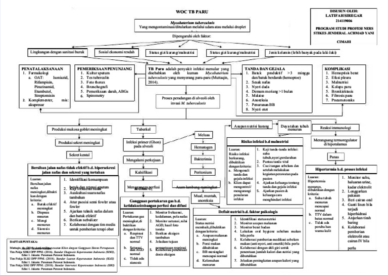 PDF Woc Tb Paru Latifah Siregar Compress | PDF