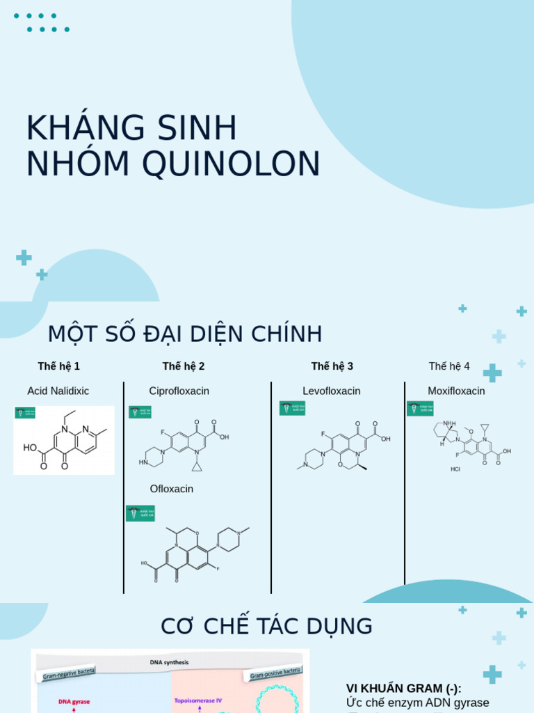 Kháng sinh quinolon | PDF | Planets | Planets In Astrology