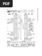 Hand Wrist 2 Ref Materials | PDF