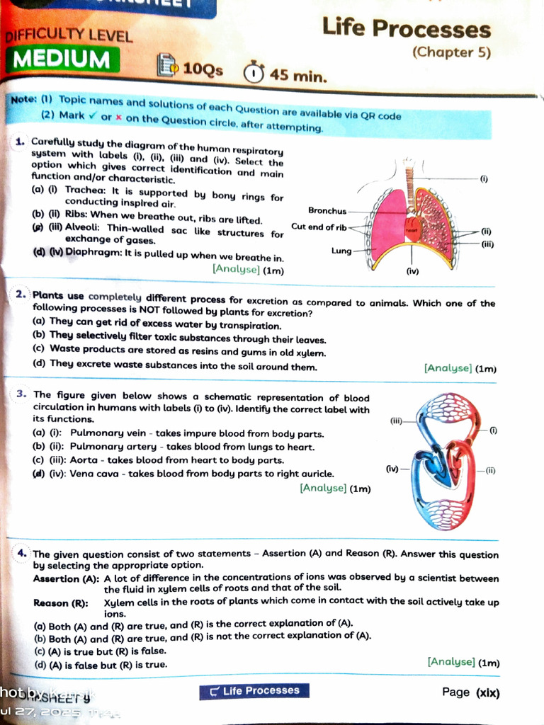 Life Process Class 10 Worksheet - 9 Level - Medium | PDF