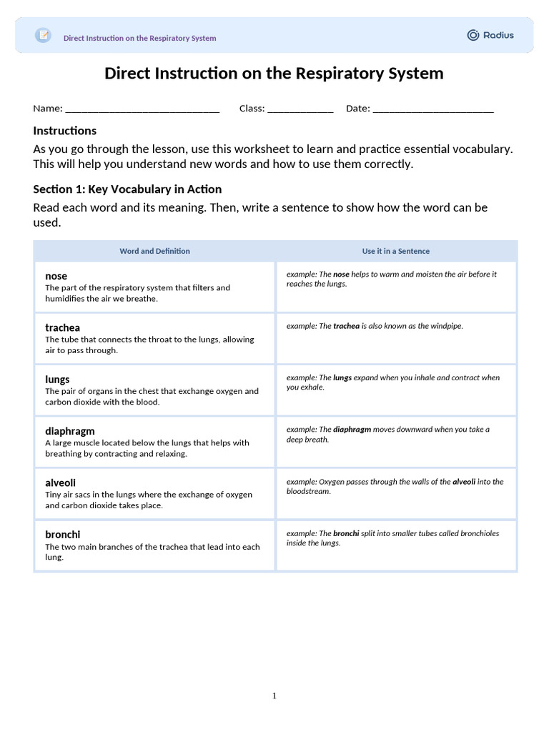 Vocabulary Worksheet - Direct Instruction On The Respiratory System ...