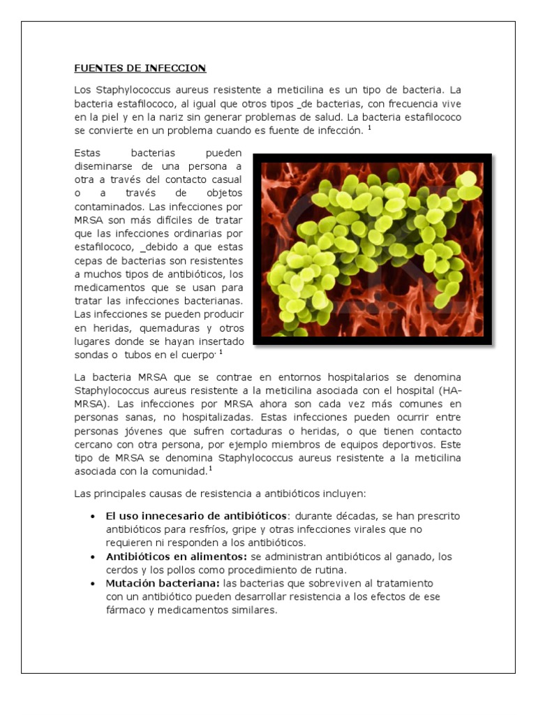 Fuentes de Infeccion | PDF | Resistencia antimicrobiana ...