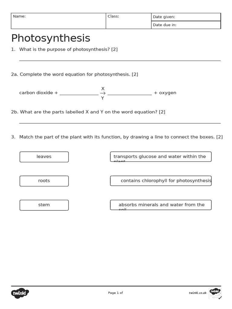 More About Photosynthesis Question | PDF