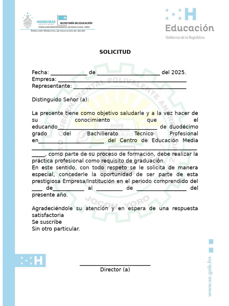 Solicitud de Prácticas Profesionales | PDF
