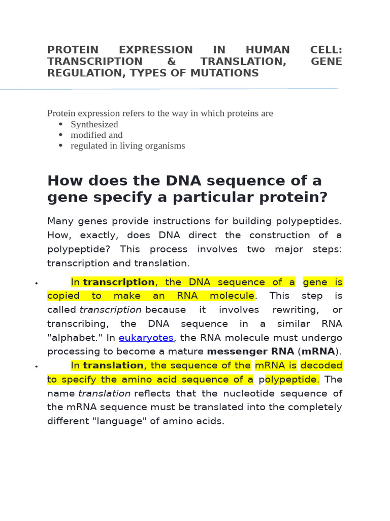 Protein Synthesis: Transcription & Translation | PDF | Translation ...