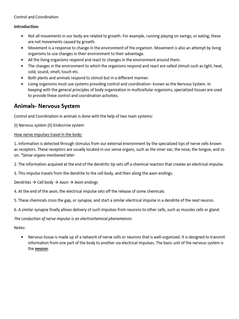 Control and Coordination Notes | PDF | Neuron | Nervous System