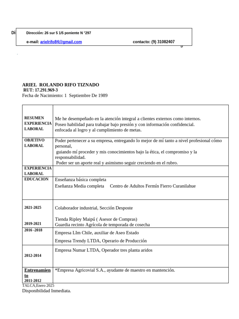 CV Ariel de Trabajo | PDF