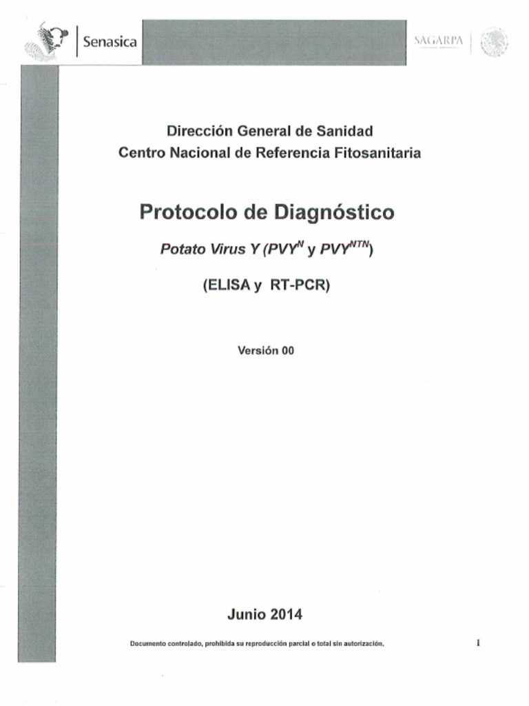 Protocolo de Diagnóstico - Potato Virus (PVYn y PVY NTN) - Versión 00 ...