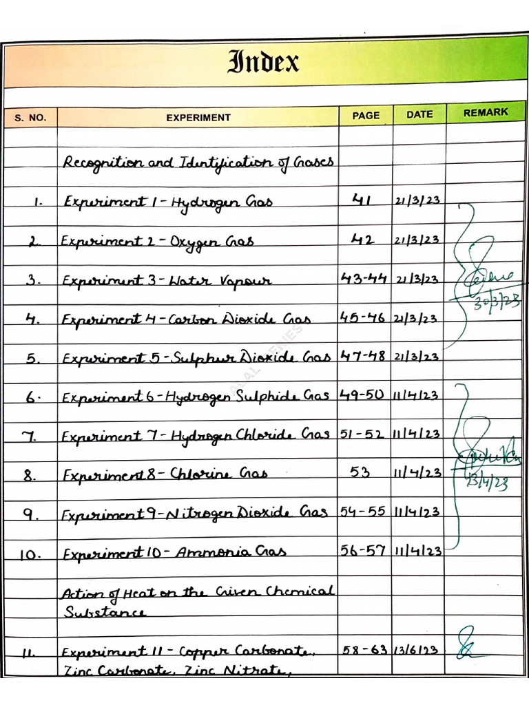 Chemistry-Practical-Record-Sample-Grade X | PDF