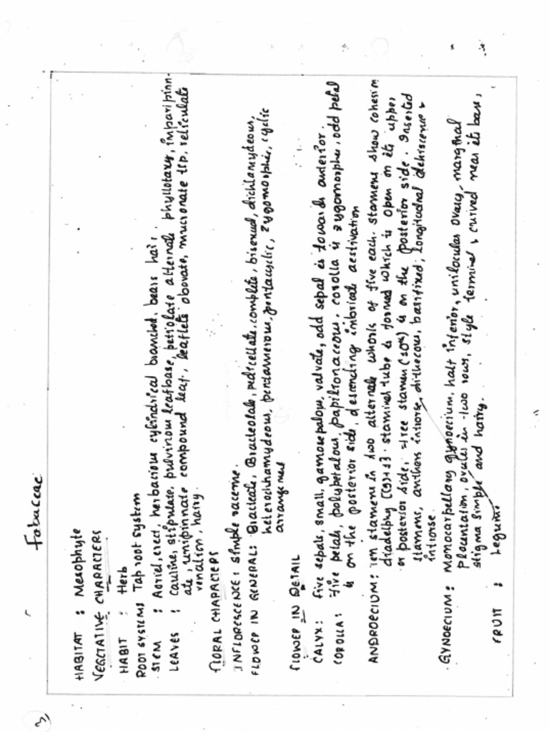 Botany 1 | PDF