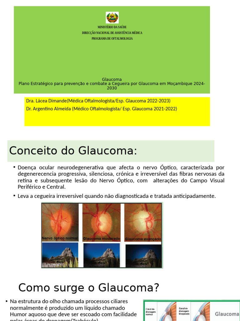 Apresentacao para a Associacao Mocambicana de Glaucoma. 2025. Dra ...