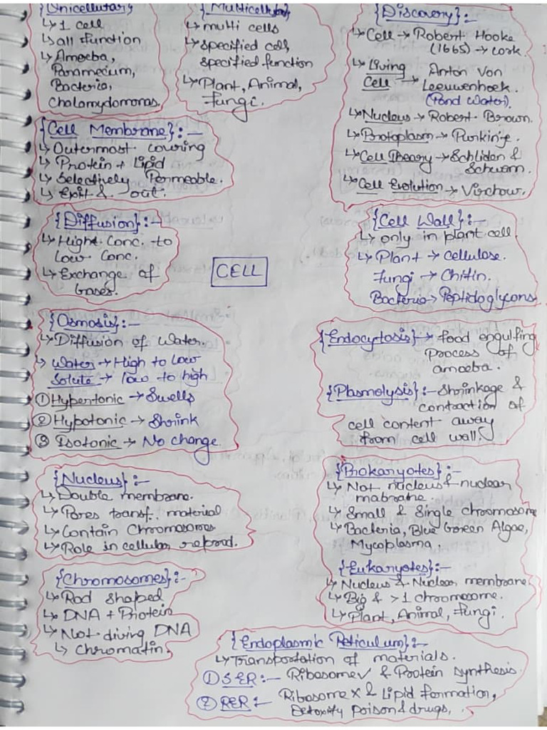 Biology Short Notes | PDF