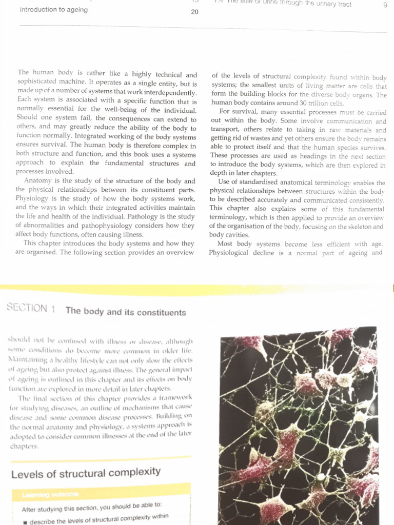 Ch. - 1. Anatomy and Organisations of The Body | PDF