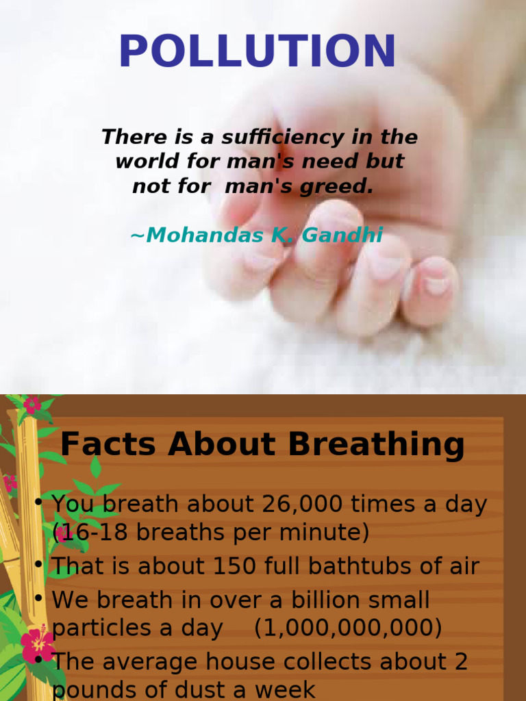Introduction to Pollution Issues | PDF | Water | Air Pollution