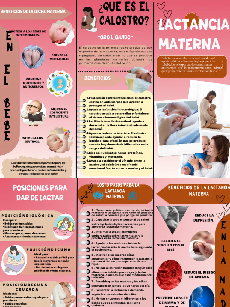 Triptico De Lactancia Materna Pdf 20250908 215804 0000 Pdf