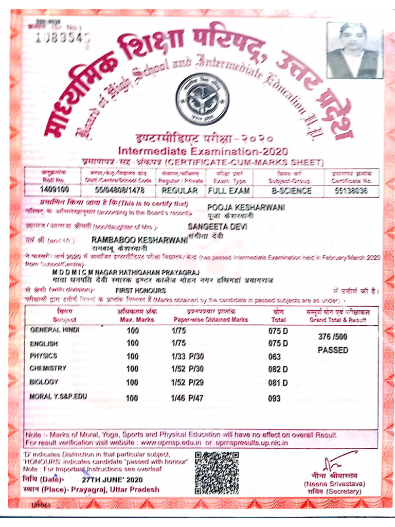 12th marksheet (1) | PDF