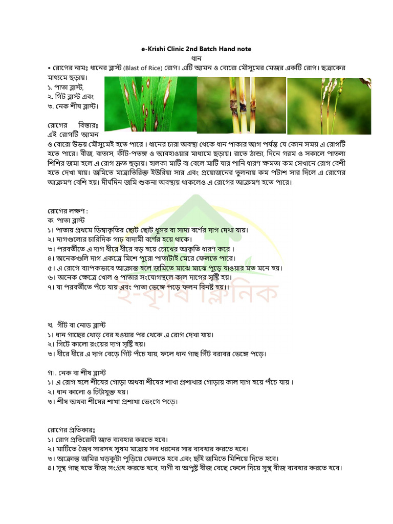 2nd Batch Hand Note | PDF