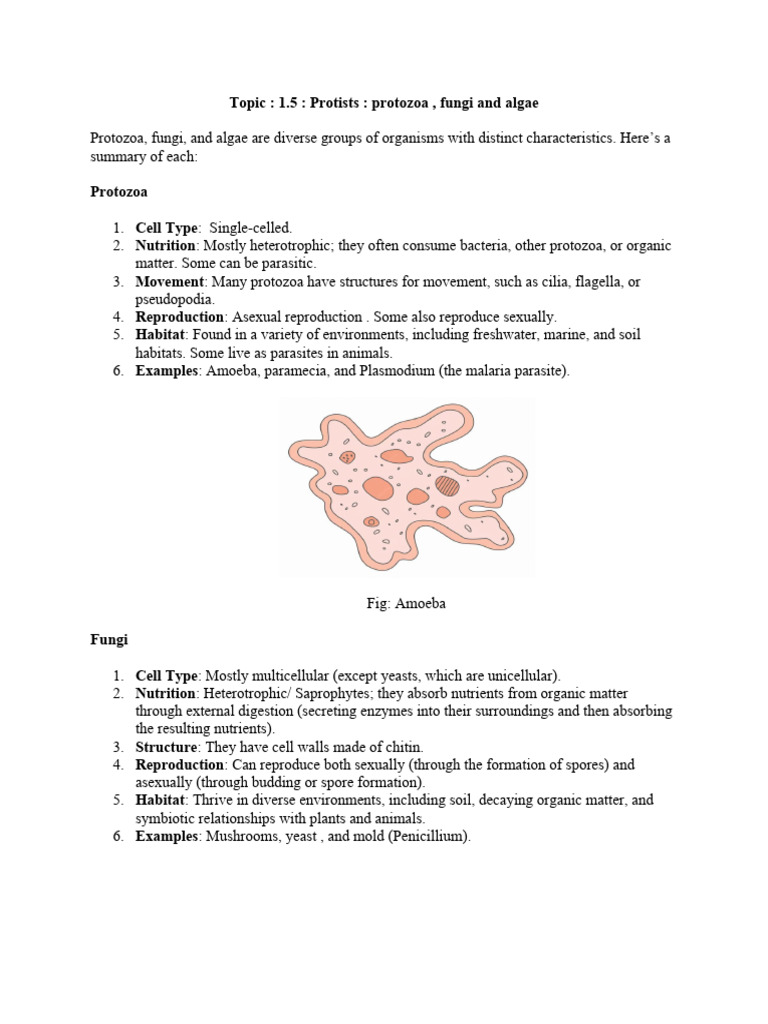 Topic 1.5 Protists Protozoa, Fungi and Algae | PDF | Protozoa | Algae