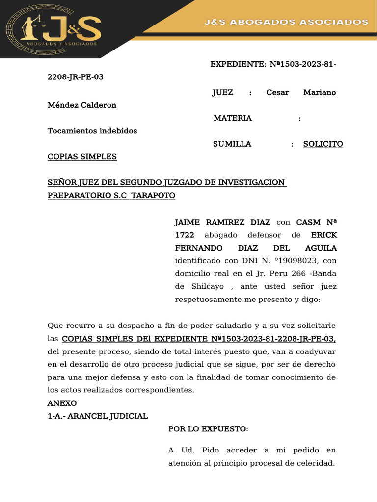 Copias Simples - Erick Fernando | PDF