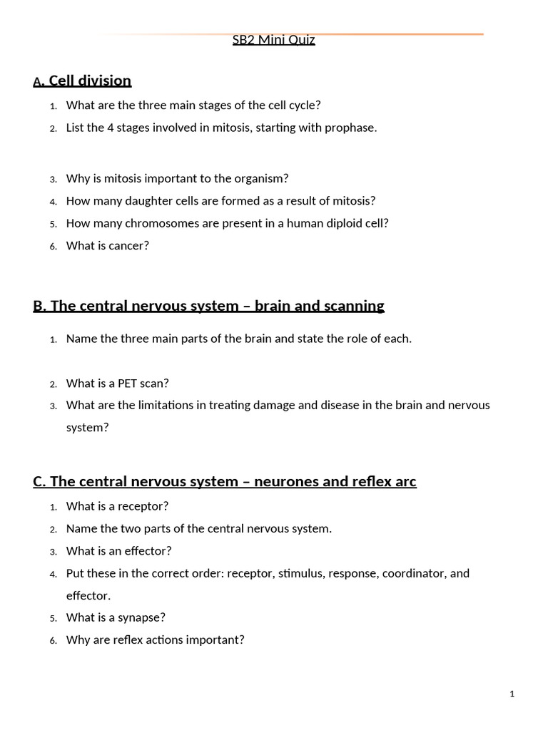 SB2 Mini Quiz | PDF