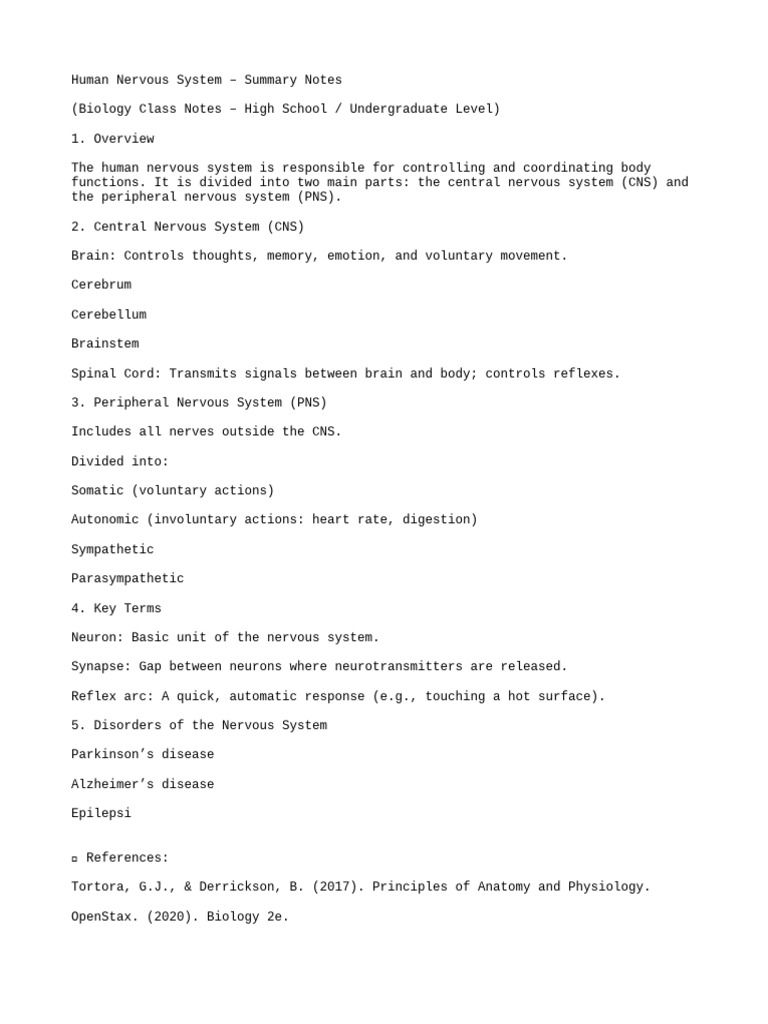 Human Nervous System Class Summary | PDF