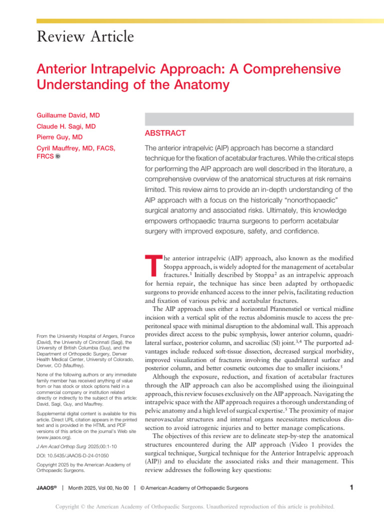 AIP Approach: Anatomy and Risks Explained | PDF | Abdomen | Pelvis