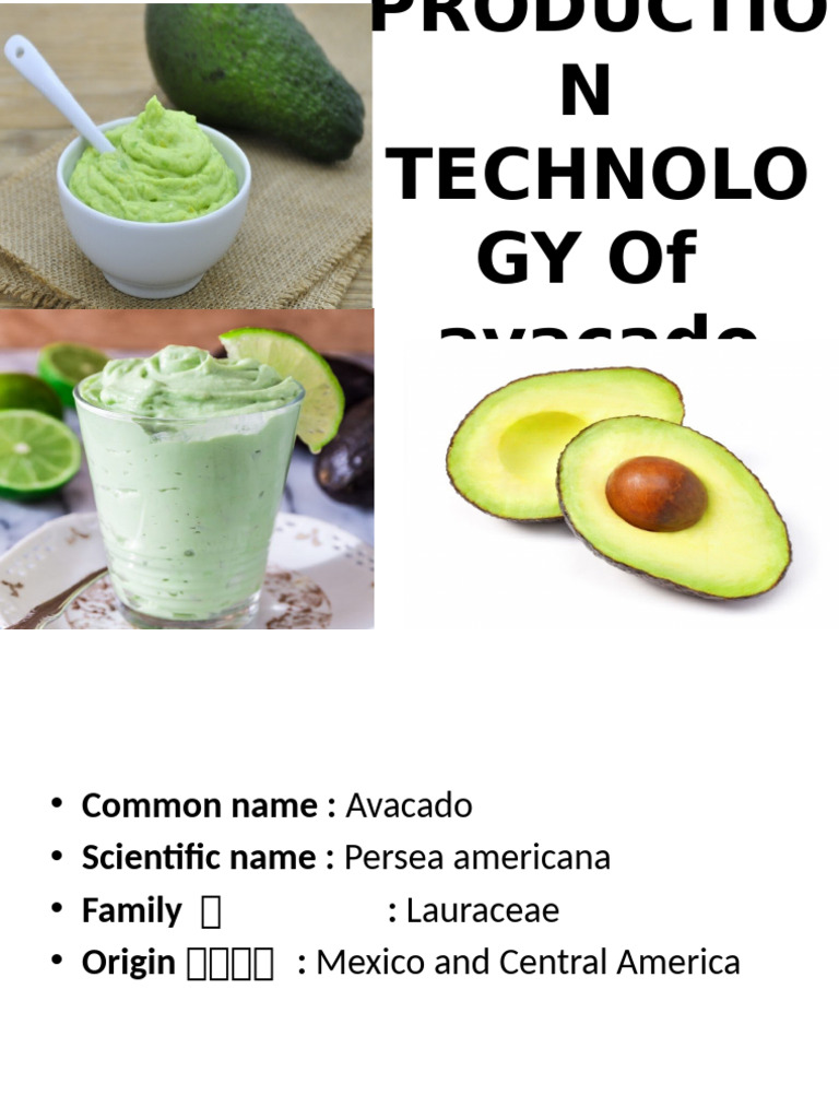 Avocado Production Technology Guide | PDF | Avocado | Soil