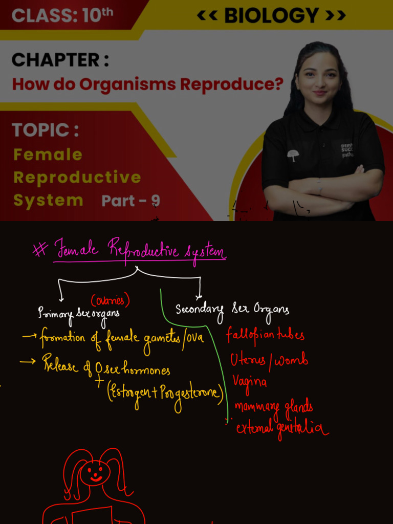 Part 9 Class 10th Biology Chapter 8 How Do Organisms Reproduce | PDF