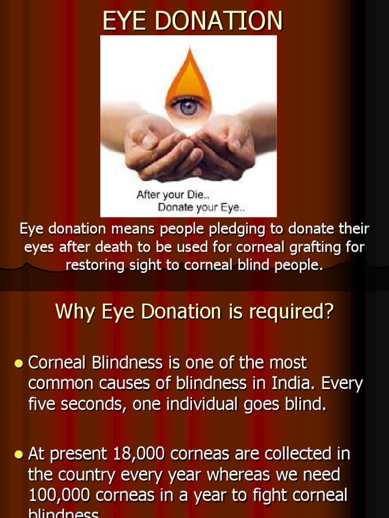 Eye Donation Restores Sight | PDF | Cornea | Organ Donation