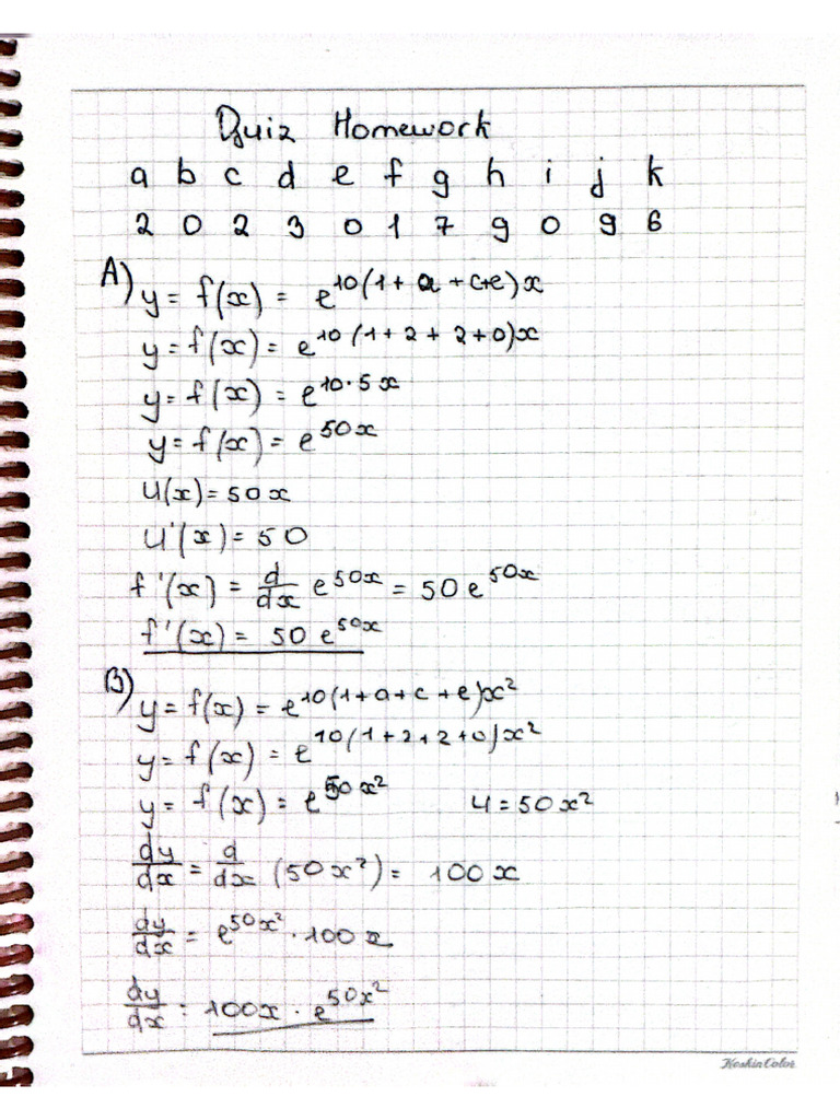 Quiz Homework | PDF