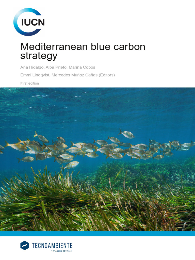 Bc Strategy Med | PDF | Climate Change Mitigation | Ecological Restoration