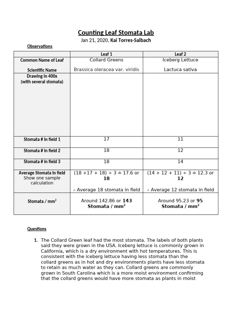 Counting Leaf Stomata - Biology Lab | PDF | Stoma | Leaf
