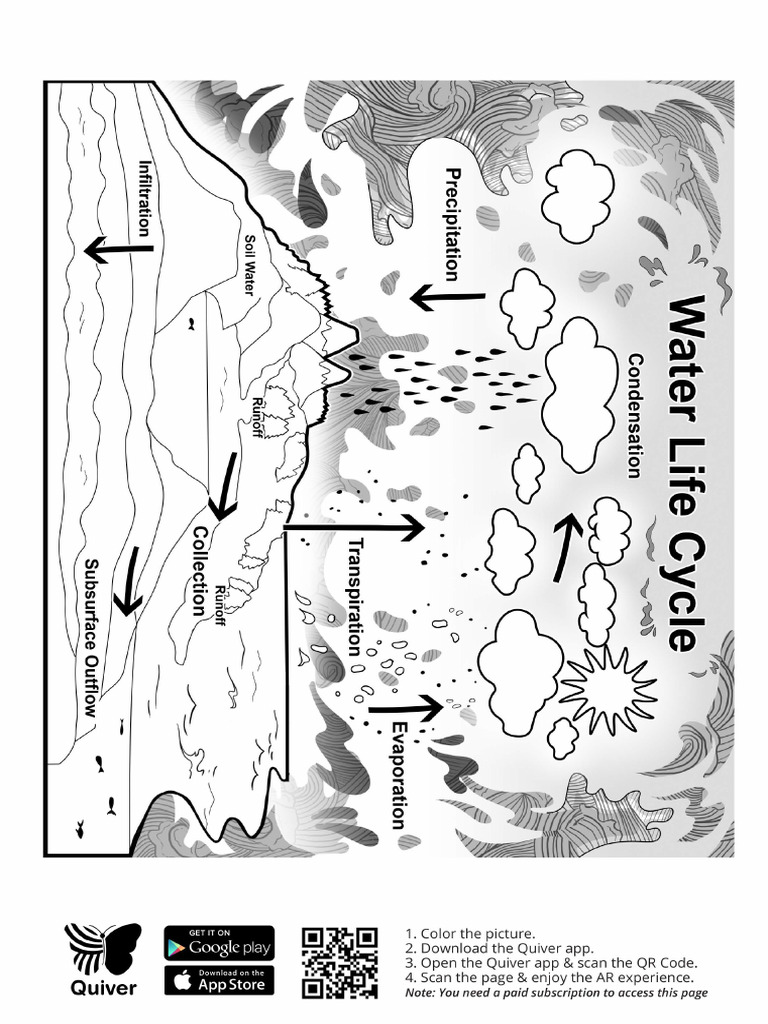 Water Lifecycle | PDF