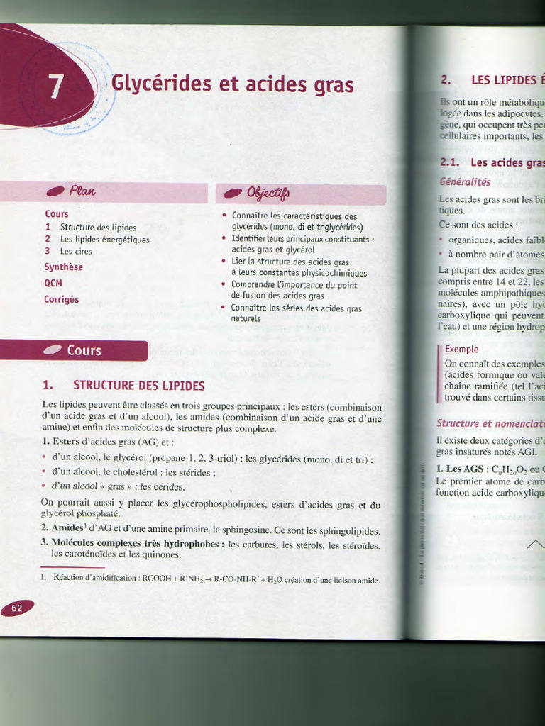 Bioch Lipide Final | PDF