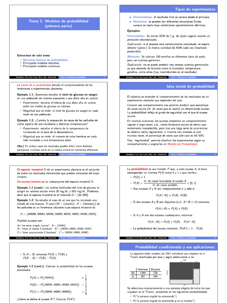 Tema1 (Primera Parte) DM 2x2 | PDF