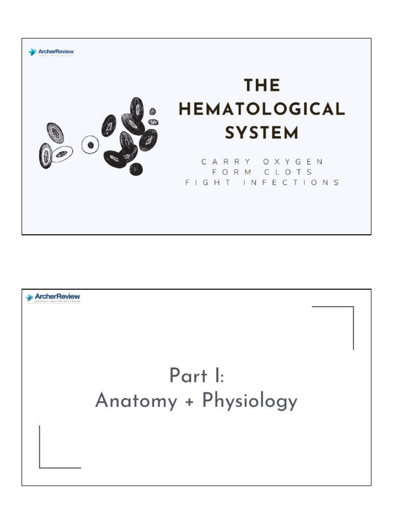 The Hematological System | PDF