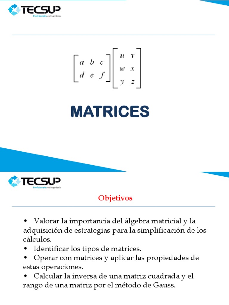 Cálculos y Rango de Matrices | PDF | Matriz (Matemáticas) | Objetos ...