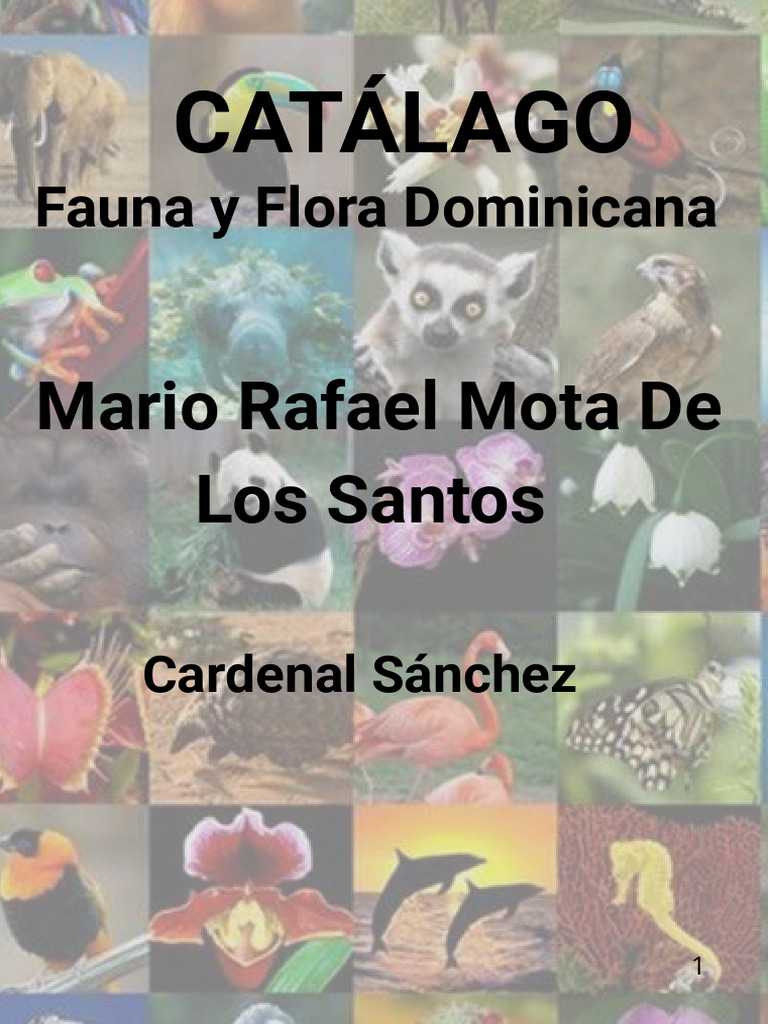 Fauna y Flora de La Española | PDF | Plantas | Botánica