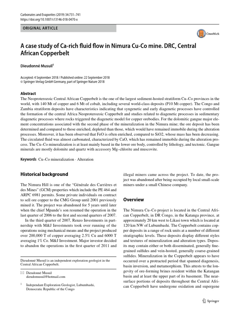 2019 Musuil - Article - A Case Study of CA-rich Fluid Flow | PDF ...