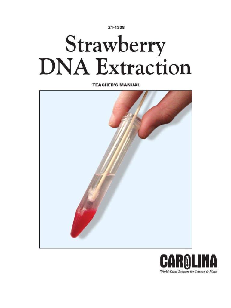 Strawberry Dna Extract Kit | Cell (Biology) | Cell Membrane
