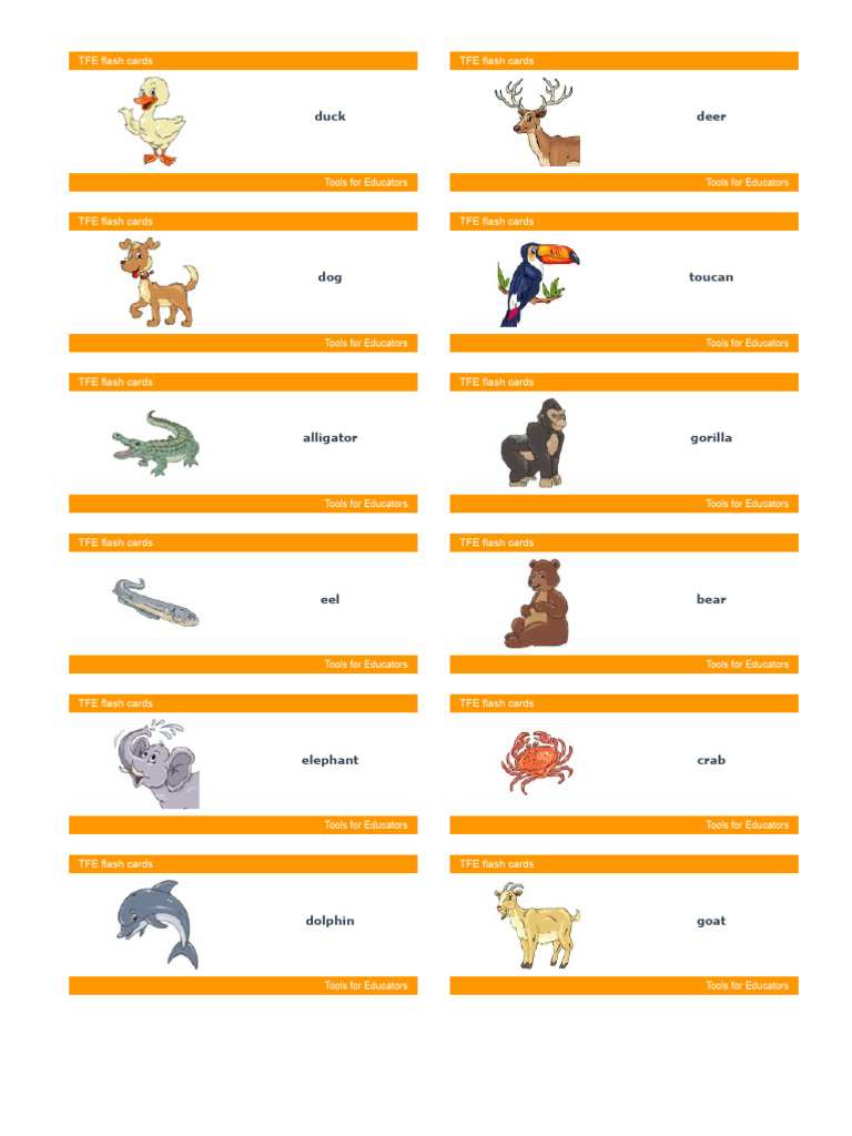Animals Custom Flashcards | PDF | Flashcard | Zoology