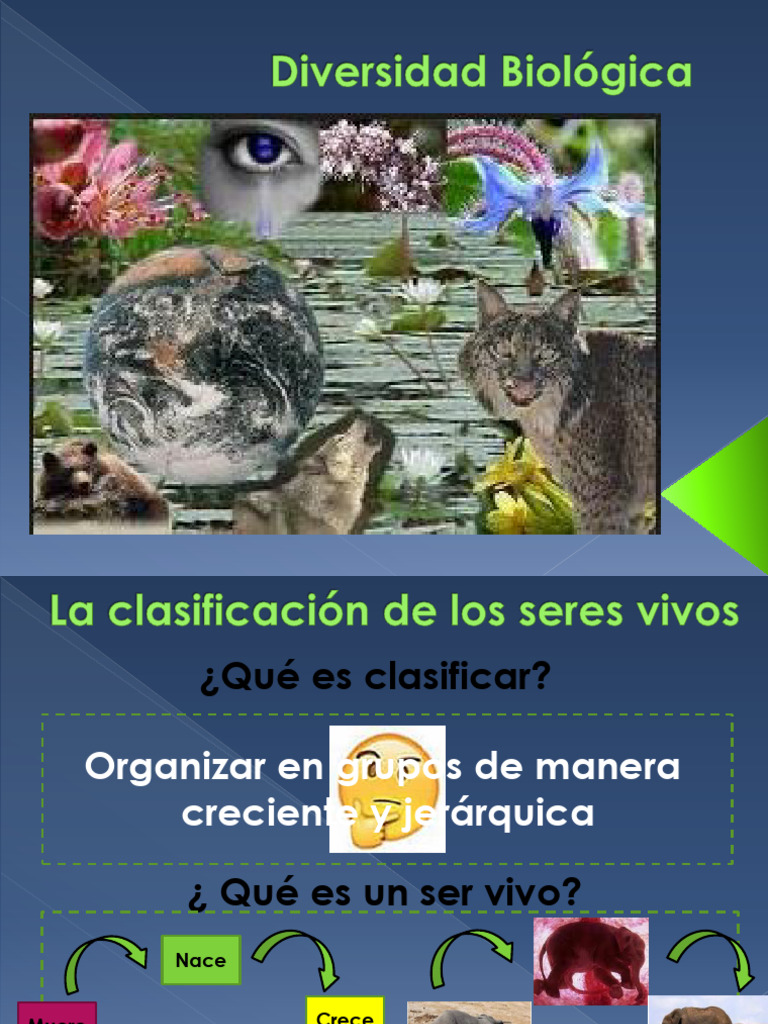 Clasificación y Diversidad Biológica | PDF
